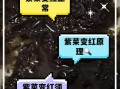天天吃紫菜两个月后变化_紫菜长期吃有什么副作用