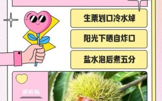 剥板栗的好方法_生板栗怎么去皮最快