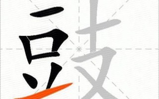 豉怎么读_豉是什么意思