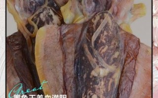 墨斗鱼的营养价值_墨斗鱼吃了有什么好处