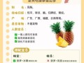 凤梨的功效与作用及禁忌_凤梨吃多了会上火吗