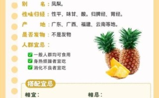 凤梨的功效与作用及禁忌_凤梨吃多了会上火吗