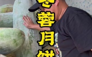 月饼馅是冬瓜做的吗_冬瓜月饼馅真相