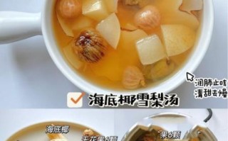 雪梨汤怎么做止咳_雪梨汤止咳做法