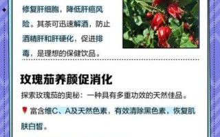 玫瑰茄和什么一起泡_玫瑰茄搭配禁忌