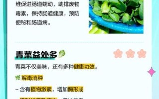 青菜的营养价值有哪些_吃青菜能补什么