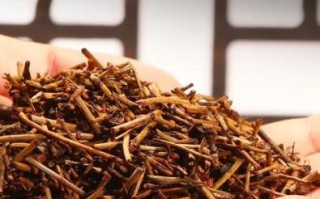 蜜麻黄与麻黄的区别_蜜麻黄和麻黄哪个更好