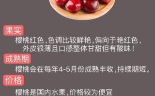 樱桃和车厘子有什么区别_哪个营养价值更高