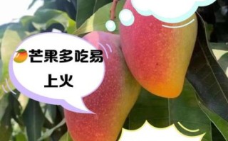 芒果上火还是降火_吃芒果会不会上火