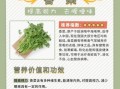 香菜的功效与作用有哪些_香菜怎么吃最健康