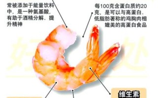 虾的功效与作用及禁忌_哪些人不能吃虾