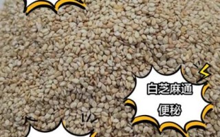 白芝麻的营养价值_白芝麻一天吃多少合适