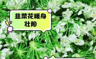 韭菜花能吃吗_韭菜花怎么吃才安全