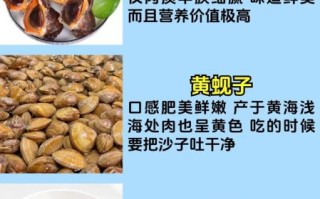 贝类有哪些_常见贝类品种大全
