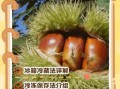 生板栗放冰箱能放多久_生板栗冷藏还是冷冻好