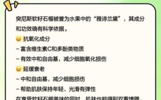 软籽石榴的营养价值_软籽石榴的功效与作用