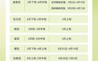 婺源油菜花什么时候开_婺源油菜花最佳观赏时间