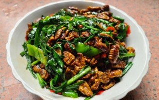 蚕蛹怎么吃营养不流失_蚕蛹怎么做最好吃