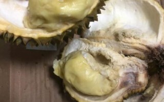 榴莲肉太软了一按就烂_还能吃吗 榴莲肉太软了一按就烂_还能吃吗