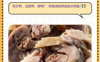 桂花鸭专卖店南京哪家好_正宗盐水鸭哪里买