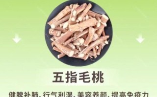 五指毛桃的功效与作用_小孩能吃吗