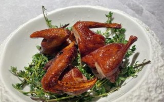 烤乳鸽加盟多少钱_烤乳鸽加盟哪家好