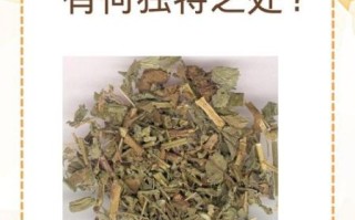 仙鹤草图片功效与作用_仙鹤草能治什么病
