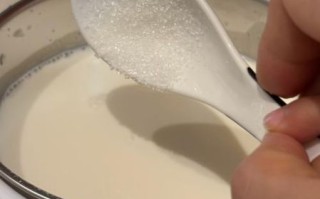 用酸奶机做酒酿窍门_酸奶机酒酿失败原因