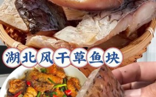 腌制腊鱼用什么盐最好_腊鱼腌制几天可以晒