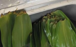 江米包粽子煮多长时间_冷水下锅还是热水