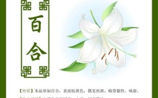 百合功效与作用_百合禁忌症有哪些