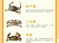 螃蟹怎么吃最鲜美_吃螃蟹的禁忌有哪些