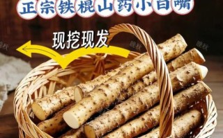 铁棍山药汤怎么煲_铁棍山药汤的做法大全