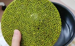 绿豆汤怎么煮是绿色的_绿豆汤变绿秘诀