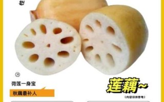 藕的营养价值_藕的功效与作用