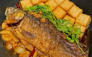 家常烧鱼怎么做_家常烧鱼用什么鱼最好