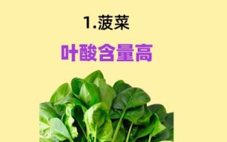 孕妇吃什么菜最好_孕期吃什么蔬菜对胎儿好