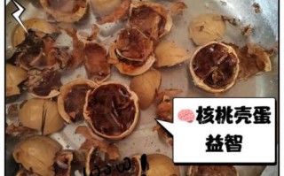 核桃壳煮水喝有什么功效_核桃壳能直接吃吗