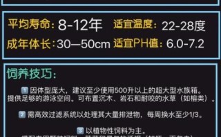 招财鱼怎么养_招财鱼能和什么鱼混养