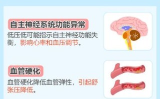 血压低是怎么造成的_低血压的原因有哪些