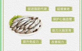 鳀鱼的营养价值_鳀鱼的功效与作用
