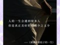 被嫌弃的松子的一生经典台词_人生意义是什么