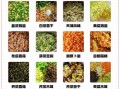 素馅饺子怎么调馅好吃_素馅饺子做法视频教程