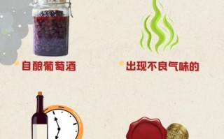 自制葡萄酒注意事项_如何避免失败