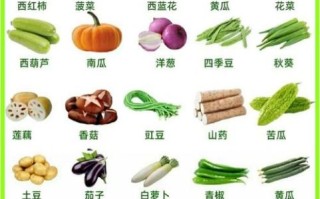 常见蔬菜种类有哪些_100种蔬菜图片大全