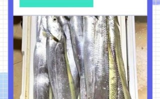 带鱼怎么洗_带鱼清洗视频教程