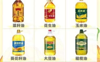 适合高温煎炸的食用油有哪些_如何挑选耐高温油