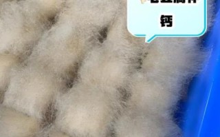 毛豆腐的危害有多大_毛豆腐吃了会致癌吗