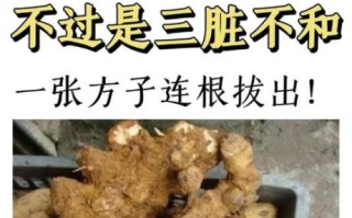 痛风秘方真的有用吗_痛风偏方治一个好一个靠谱吗