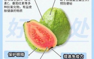 番石榴吃了有什么好处_番石榴的营养价值有哪些